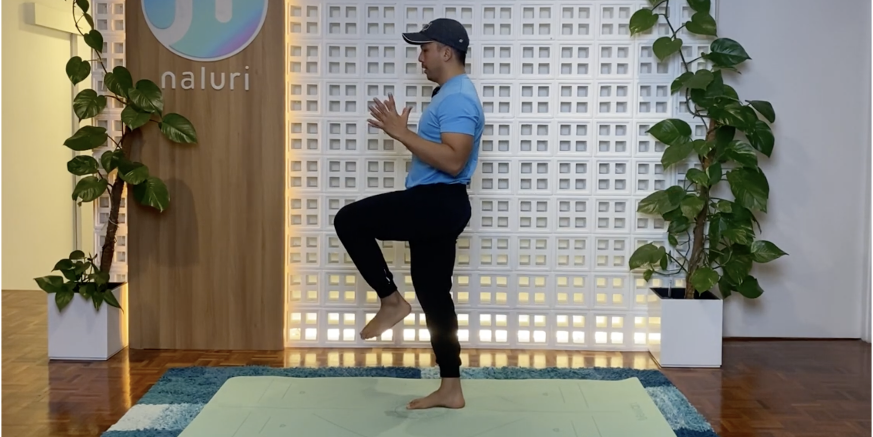 Core and Stability - Workouts and Exercises - Naluri